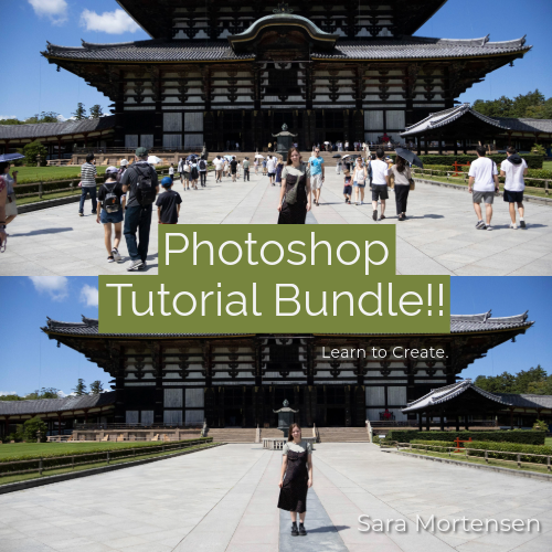 Tutorial Bundle | Sara's Snapshots